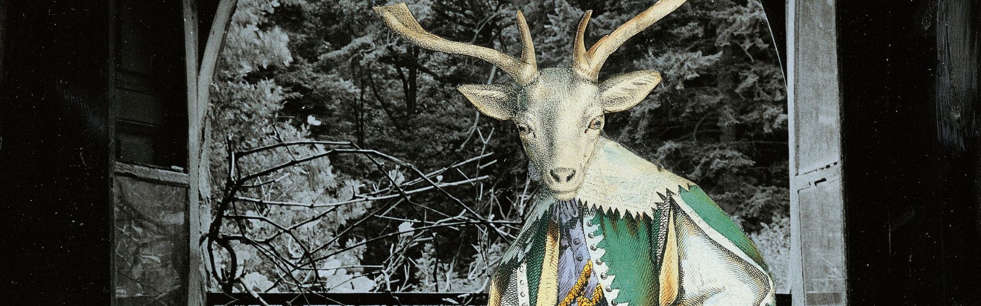 Montmartre museum in the heart of Paris